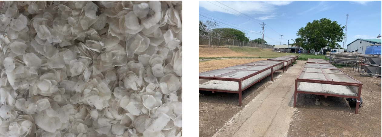 FISH SCALES – ECOGEL Processing Co. Ltd.