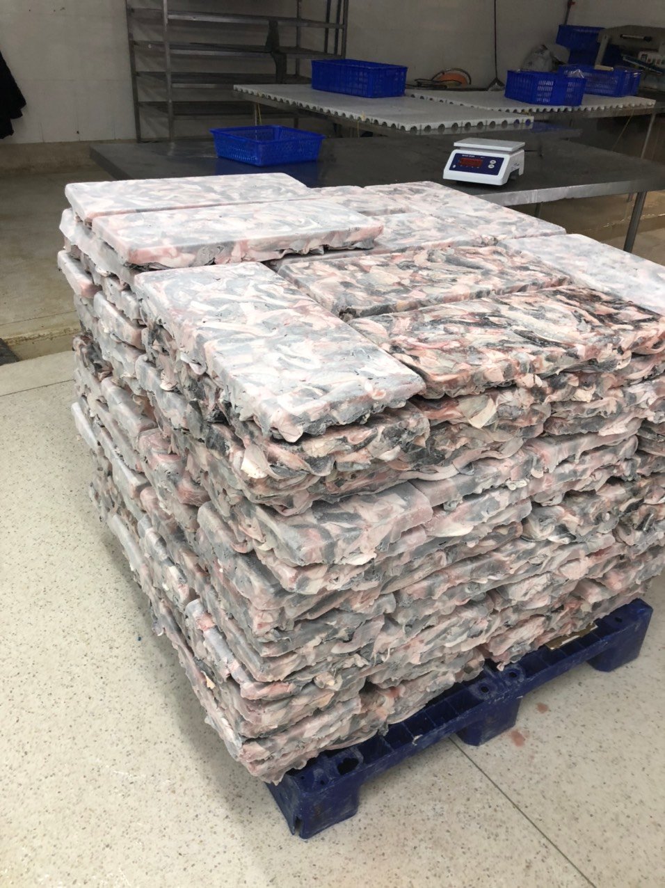 FISH SKIN – ECOGEL Processing Co. Ltd.